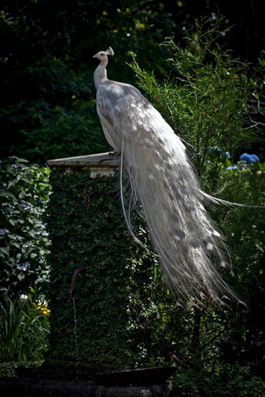 3834 - Location Department