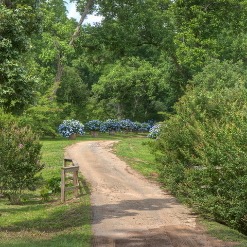 3834 - Location Department