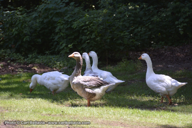 9084 - Location Department